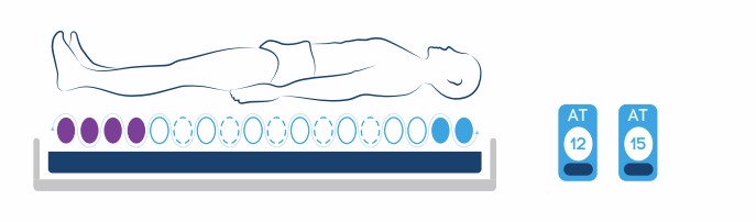 Winncare Axtair Automorpho Dynamic Mattress | Hospital Beds